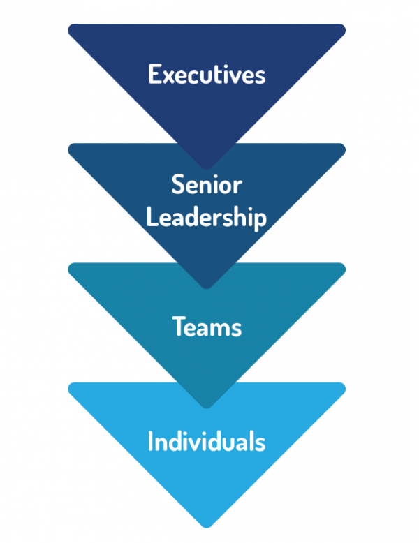 Virtual Team Sessions • Stop At Nothing